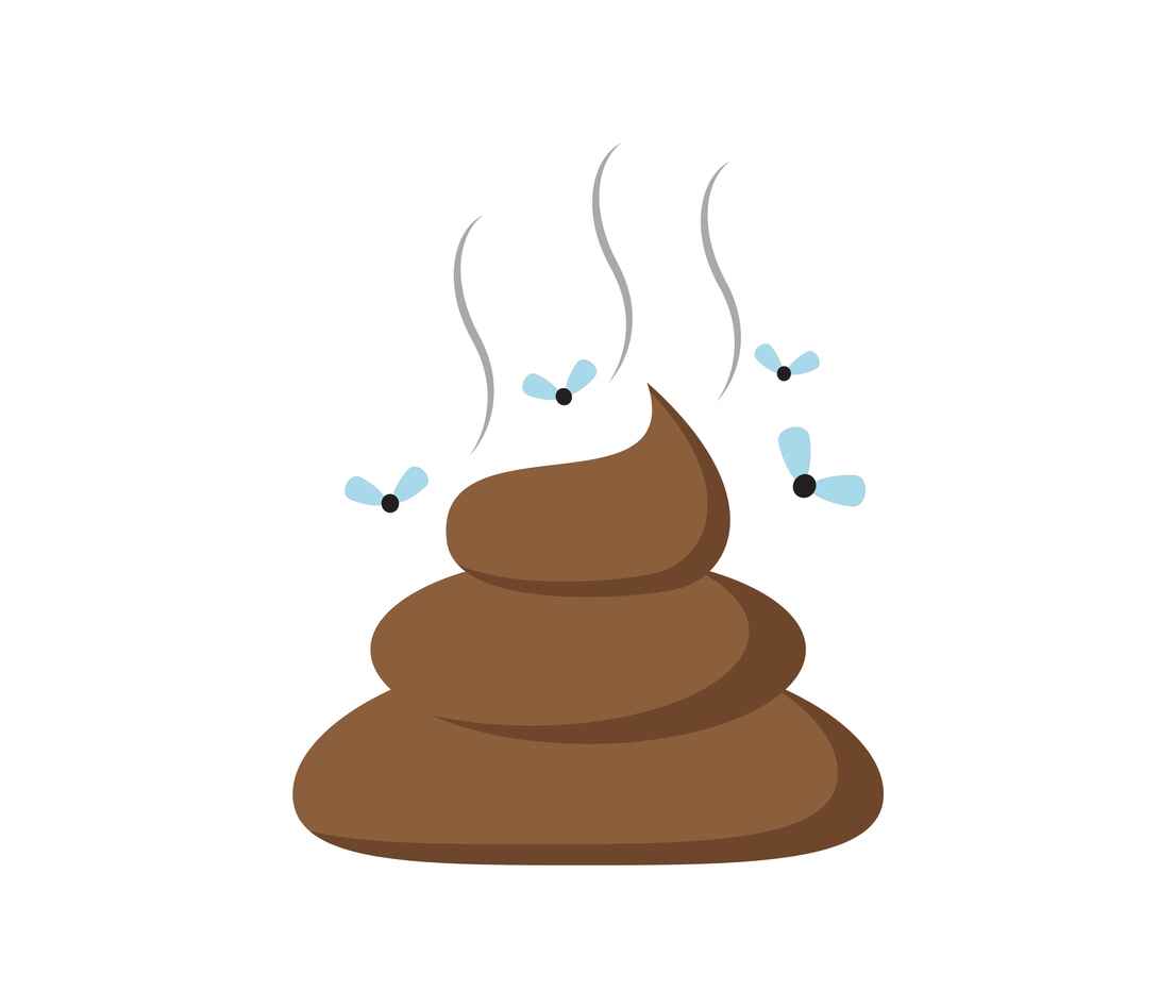 Poop Looks Like Coffee Grounds – Causes And Treatments